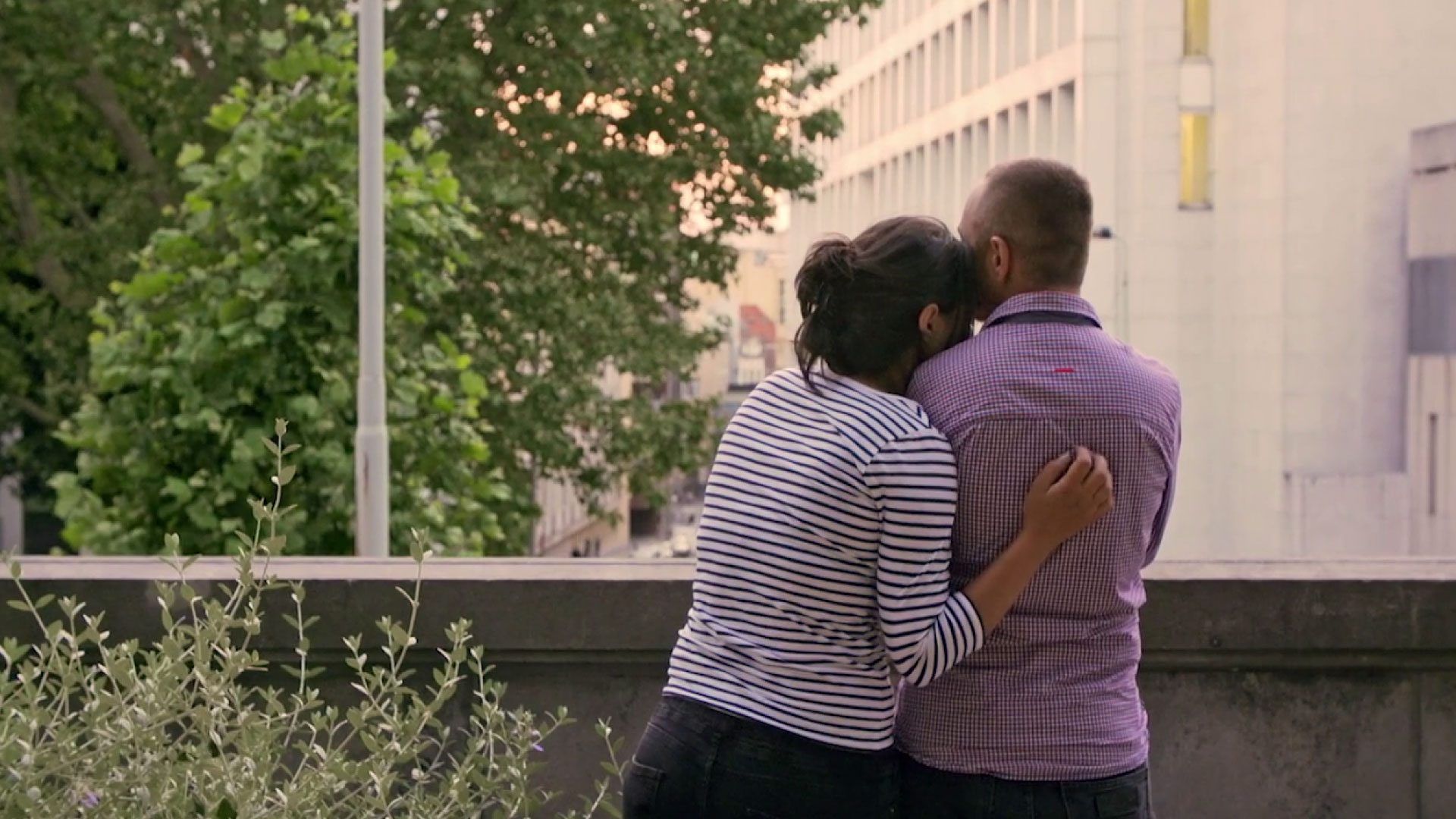 Hayatta Kalma Rehberi - Queer Documentaries